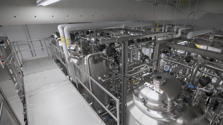 Would You Eat Lion? Facts About Lion Meat You Need to Know - Can't Beat ...